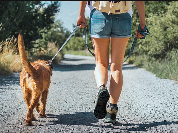 Women's Hiking Shoes | Hiking Shoes For Women-Nortiv8